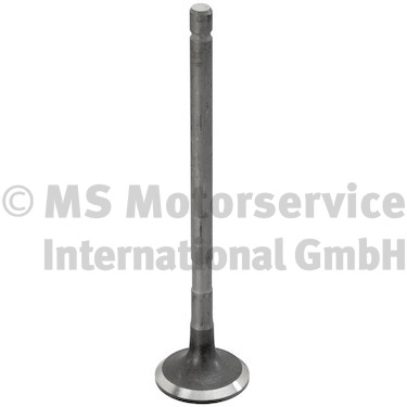 MS Motorservice International GmbH
